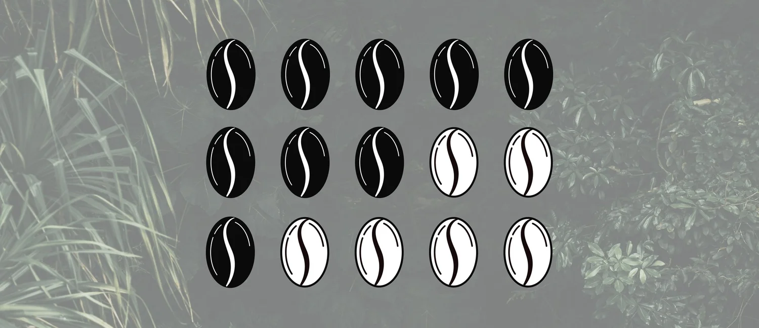 A Guide to Determining Which Type of Coffee is for You — Coalition ...