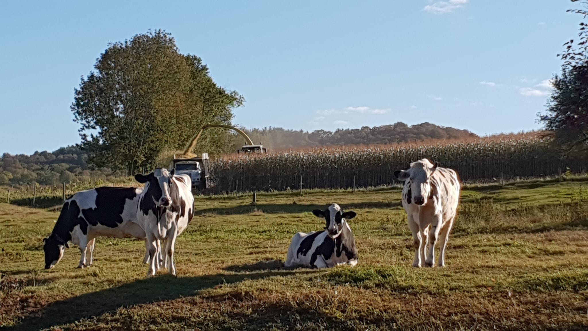 Fort Waite Farm — Vermont Farm Fund