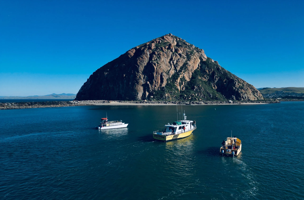 Morro Bay Whale Watching, Sub Sea Tours & Kayaks