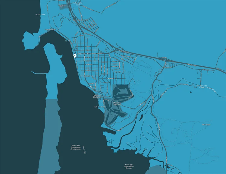 Morro Bay Whale Watching