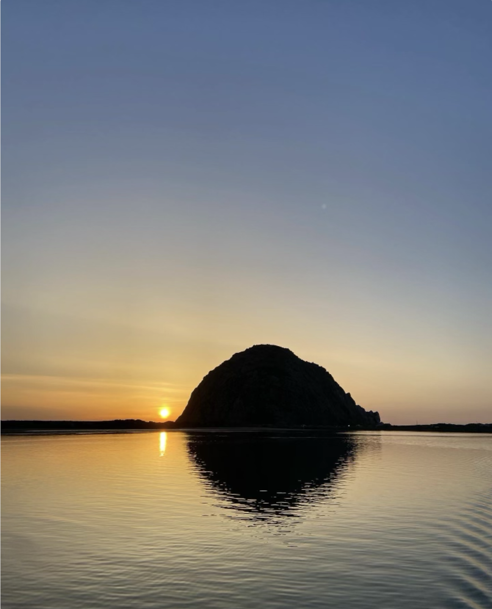Morro Bay Whale Watching, Sub Sea Tours & Kayaks