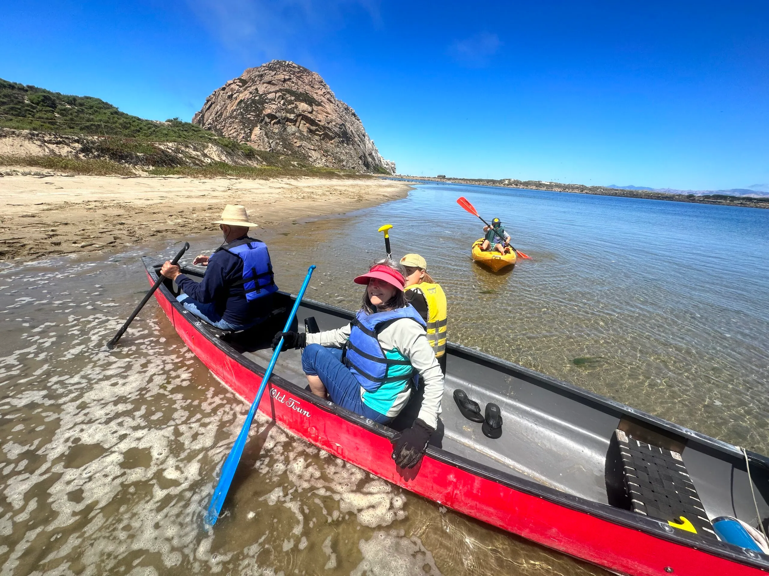 Morro Bay Whale Watching, Sub Sea Tours & Kayaks