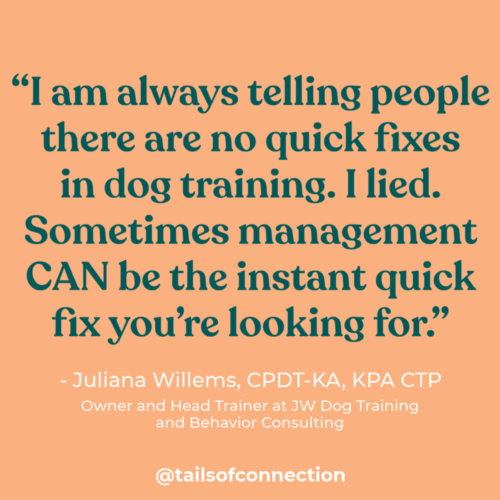 When Should You Fix Your Dog