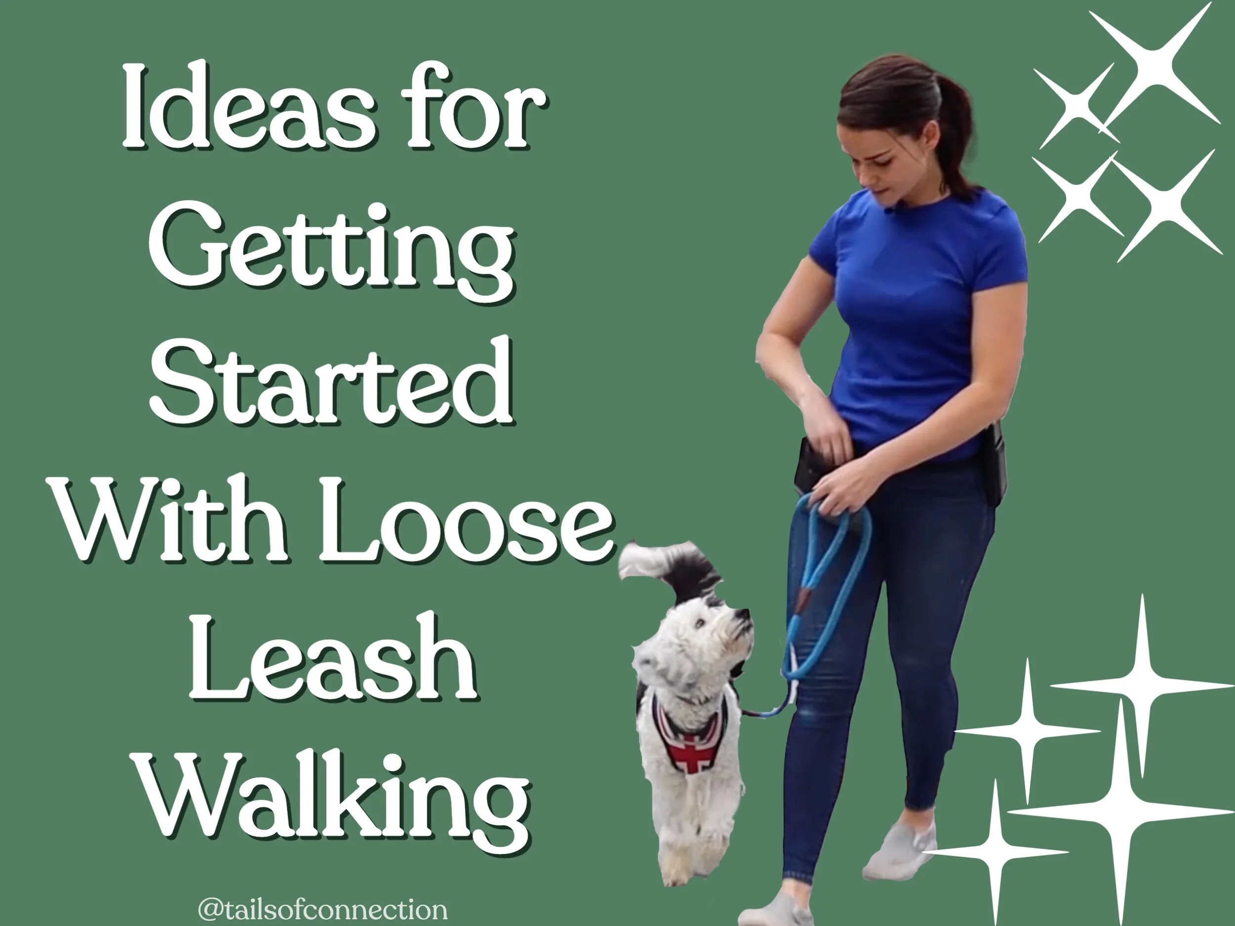 Guide: Ideas for Getting Started With Loose Leash Walking Training — Tails of Connection - How ...