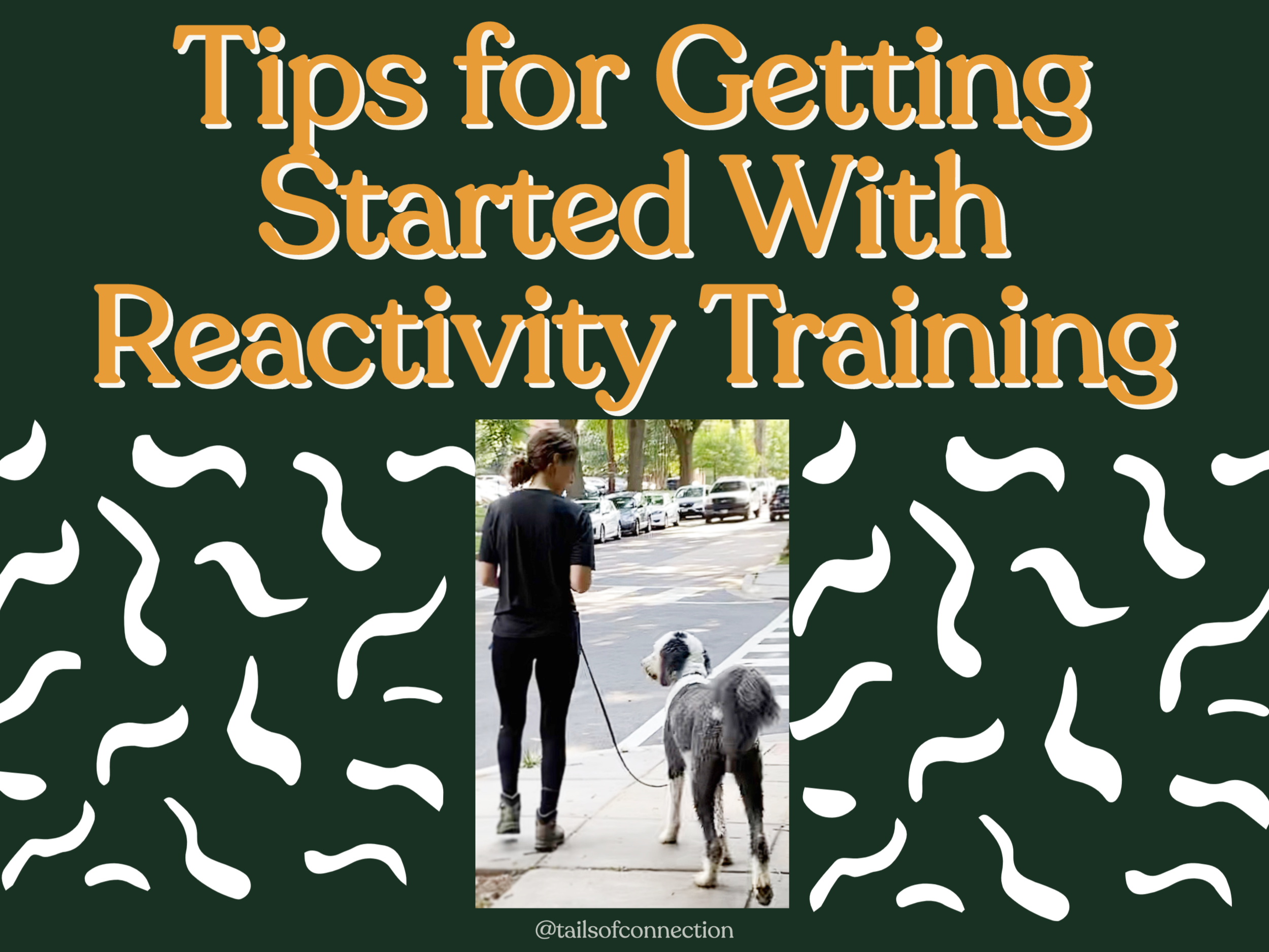 Getting Started With How To Train a Reactive Dog — Tails of Connection ...
