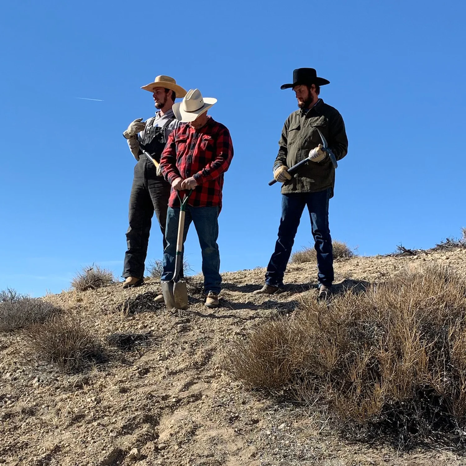 Otteson Brothers Turquoise