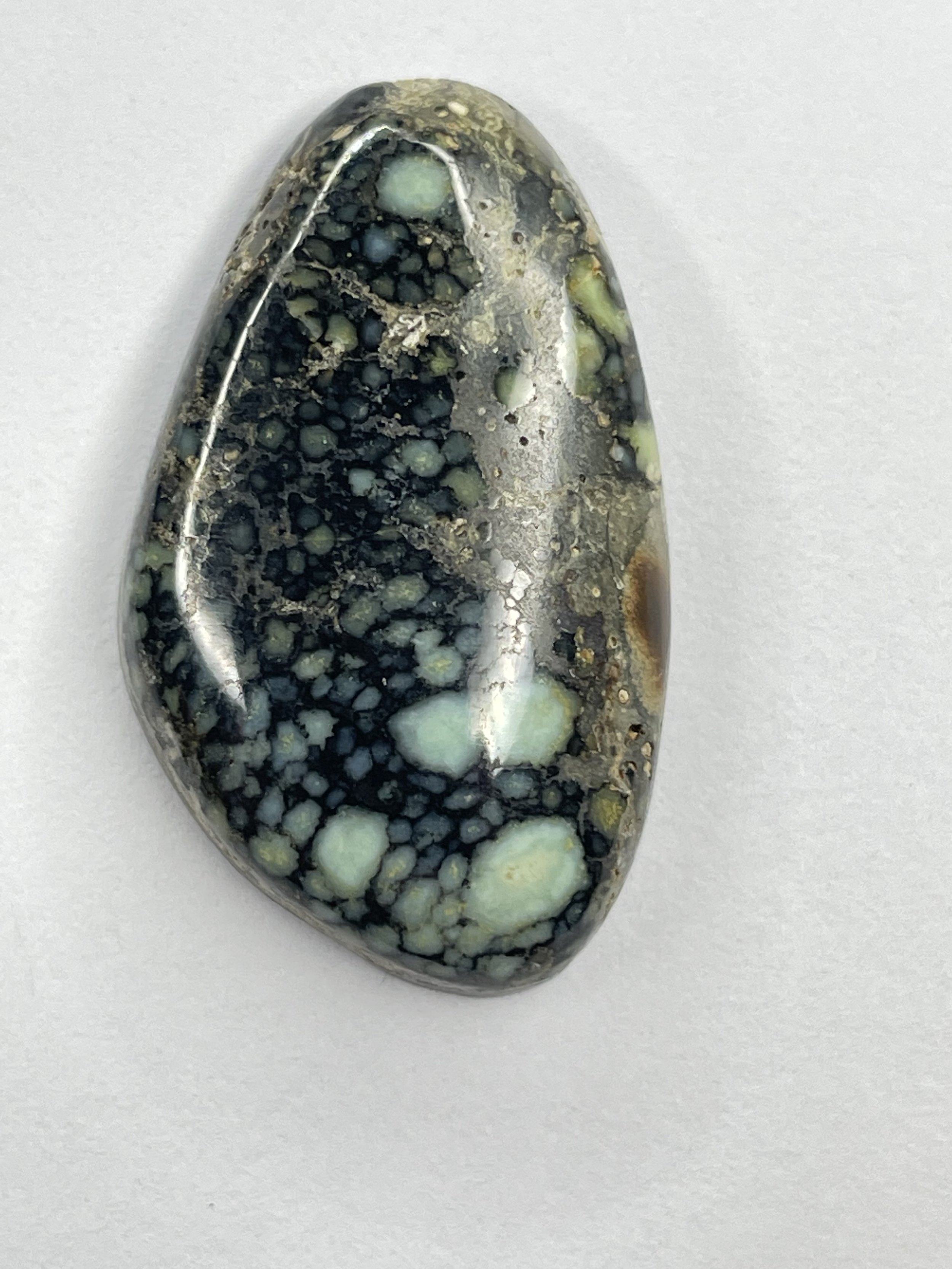 Shop — Otteson Brothers Turquoise