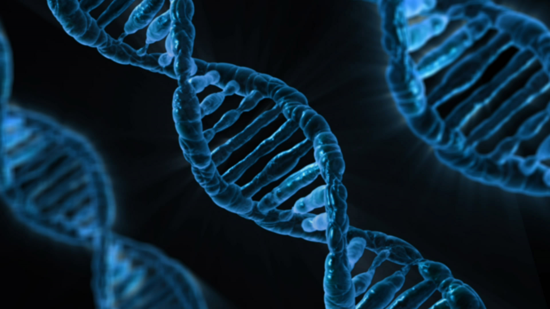 How Organisation DNA Impacts Your Transformation Journey - DecodeHR