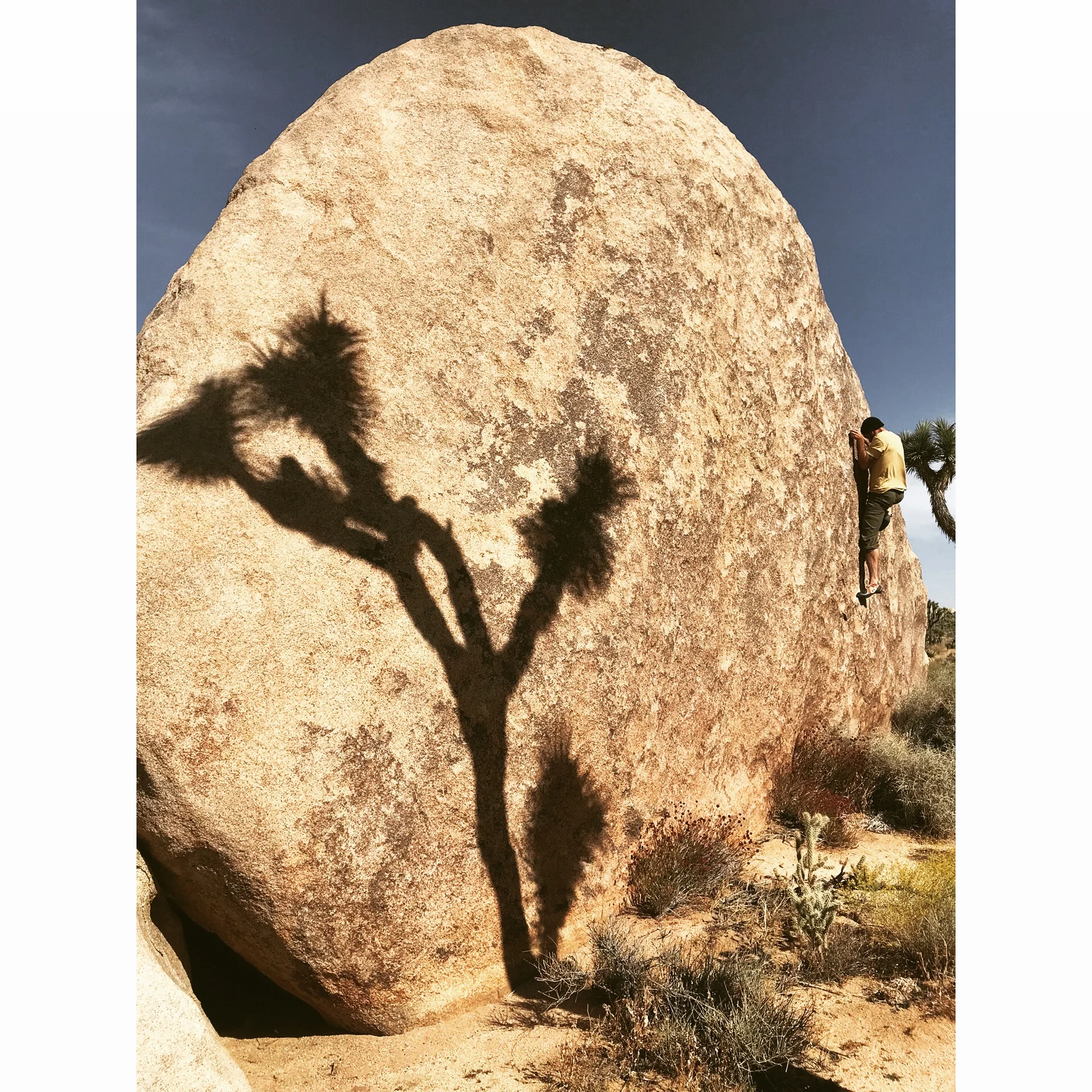 Crux — Crux Wilderness Therapy