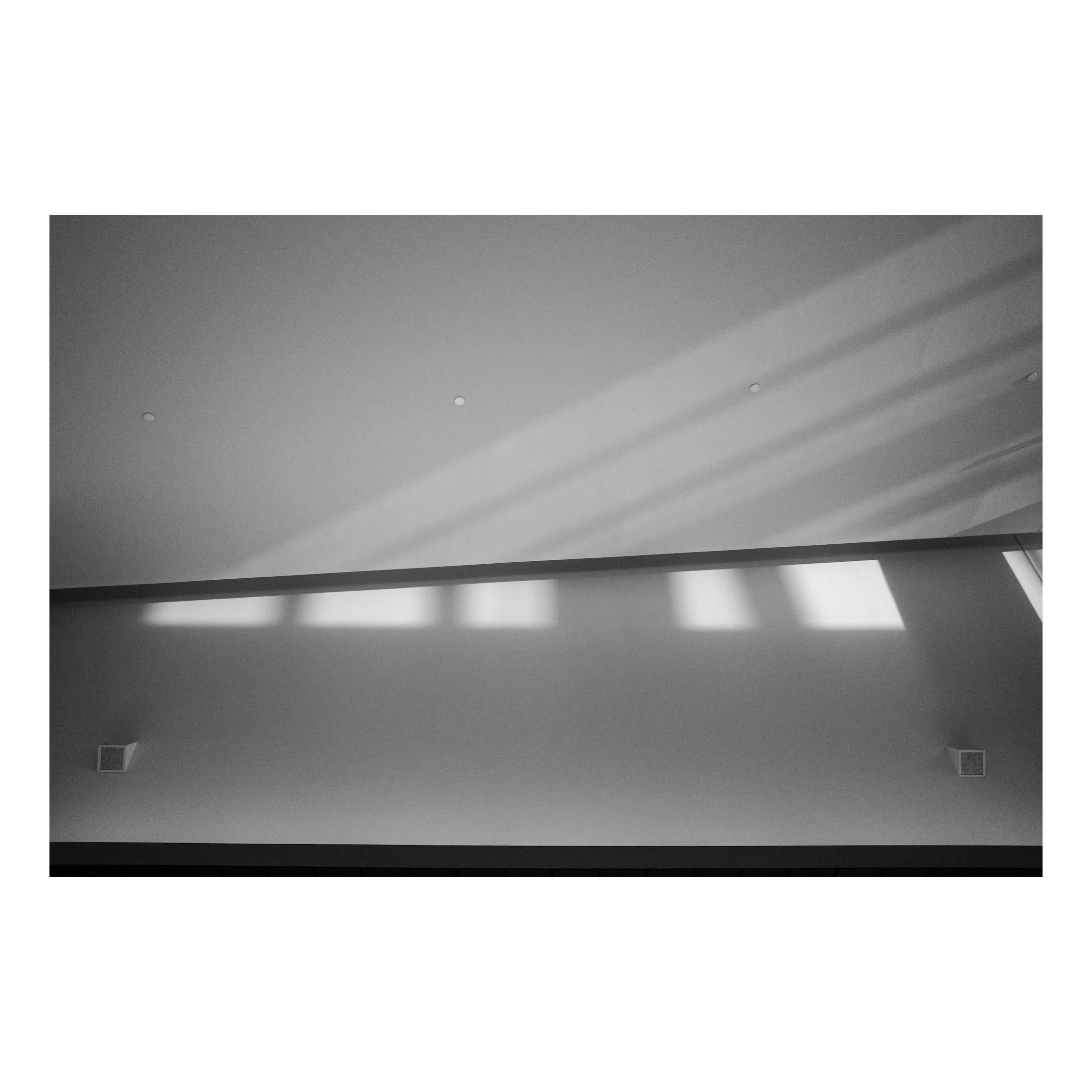 % bike parts Yellow Bird Thread Works