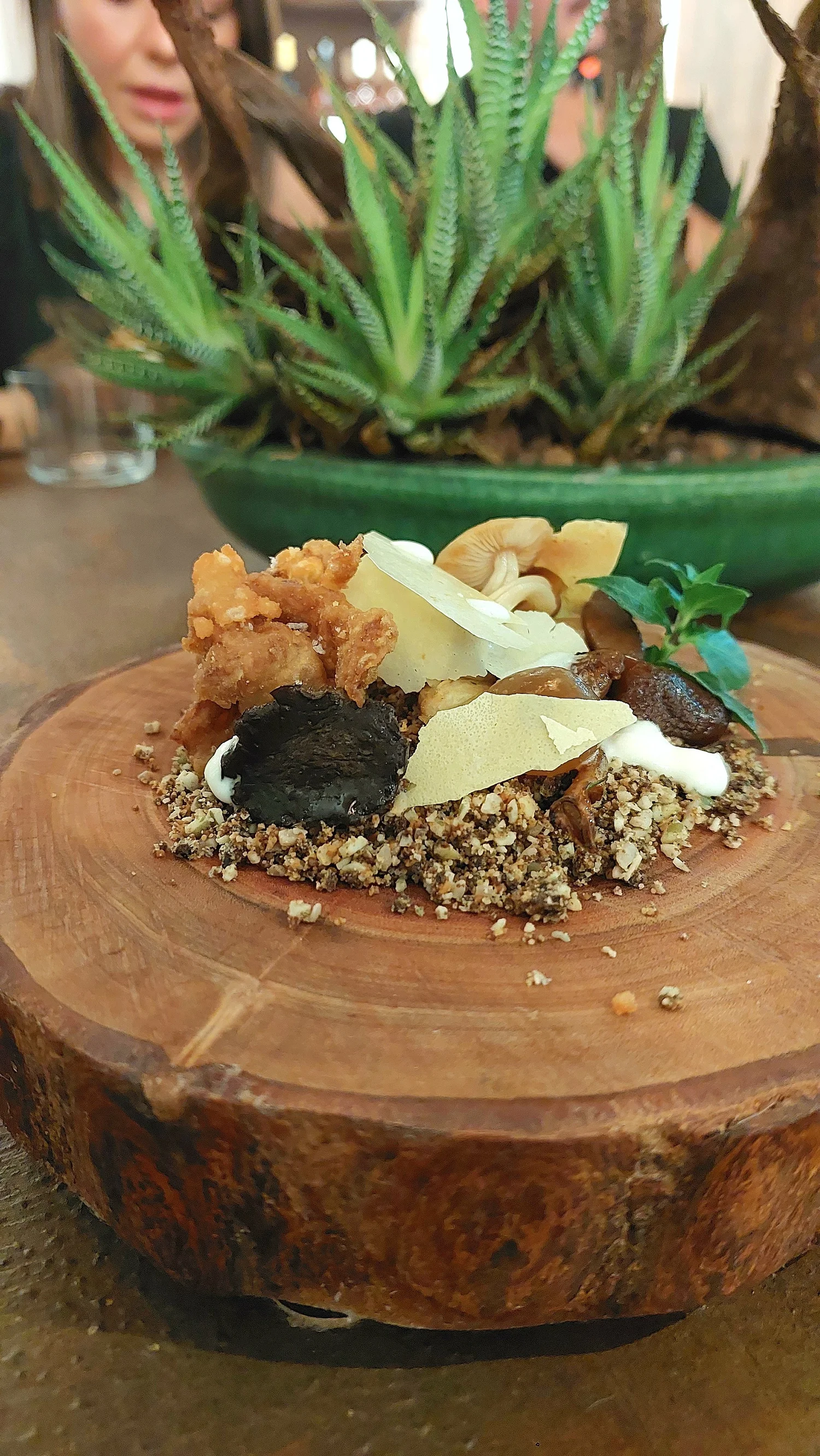 Perspective Dining: A Unique Brisbane Restaurant Experience for Food ...