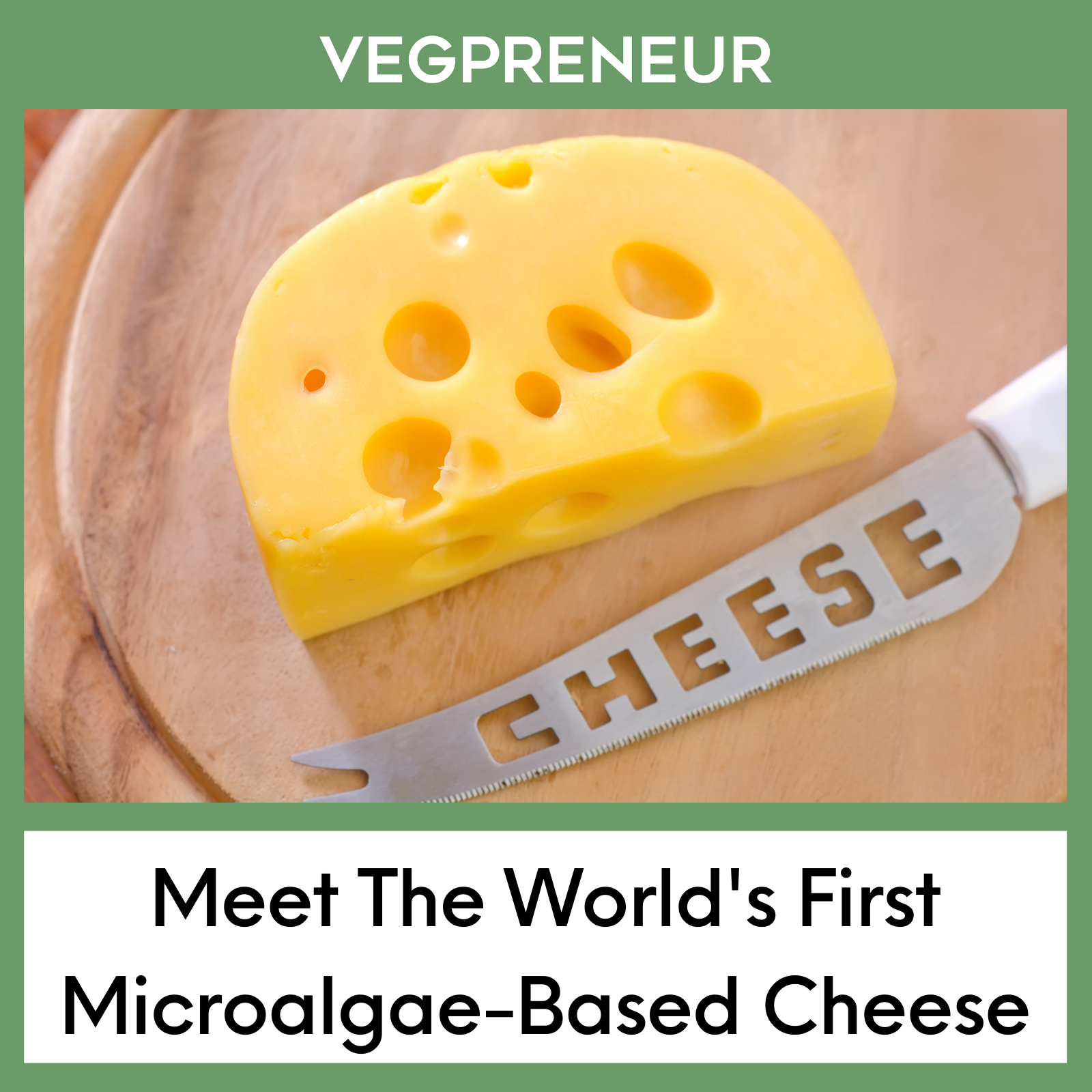 Meet The World's First Microalgae-Based Cheese — VEGPRENEUR