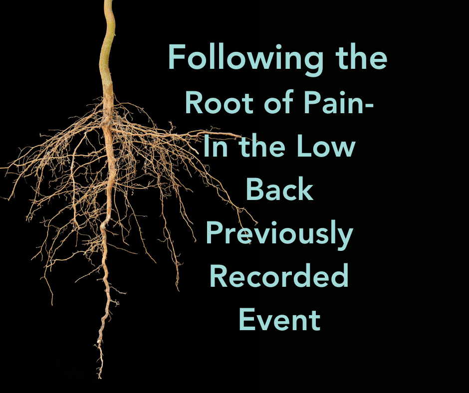Recording // Following the Root of Pain- In the Low Back — Ankrum ...
