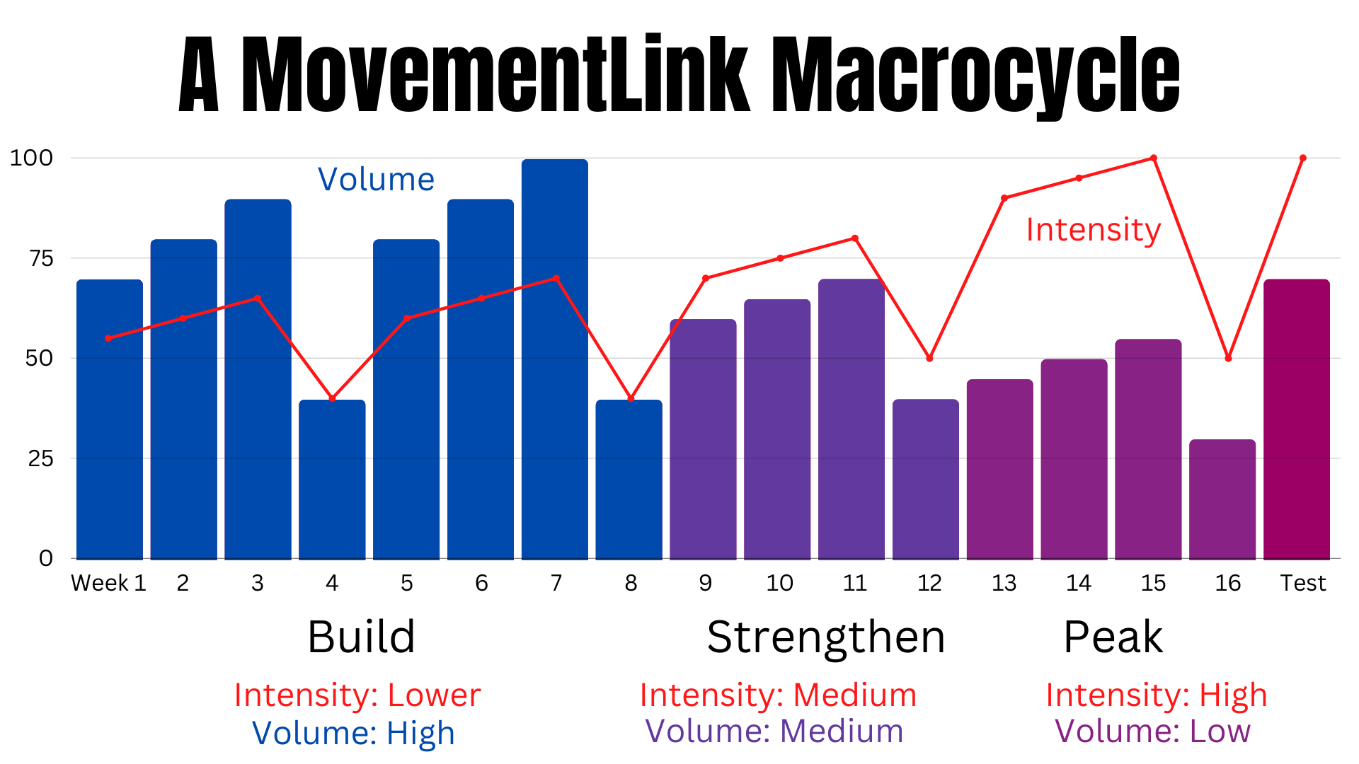 Understanding the MovementLink Program — MovementLink Gym