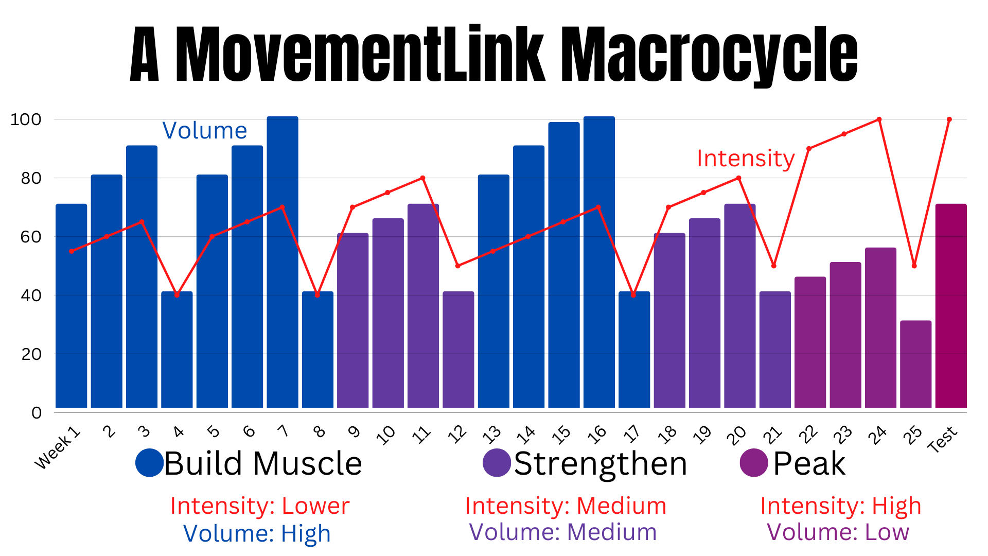MovementLink Programming Overview — MovementLink Gym