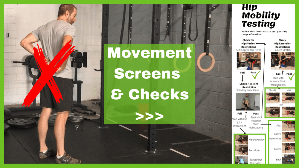 Understanding the MovementLink Program — MovementLink Gym