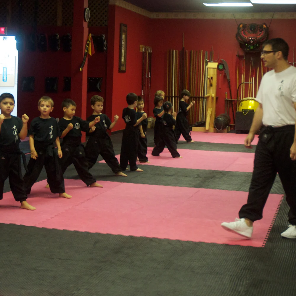 Home - Martial Arts Kung Fu Laval and Montreal — White Crane Kung Fu ...