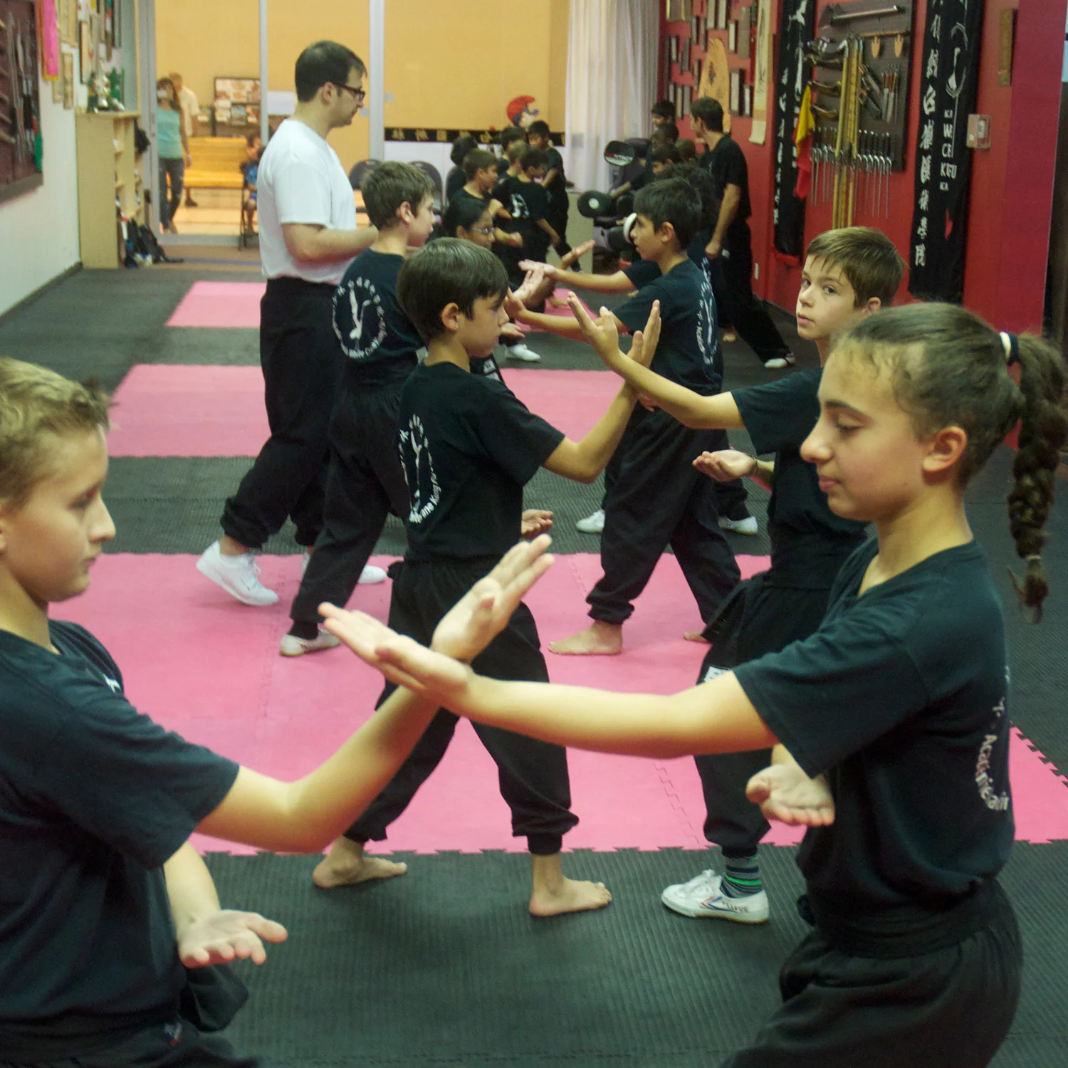 Home - Martial Arts Kung Fu Laval and Montreal — White Crane Kung Fu ...