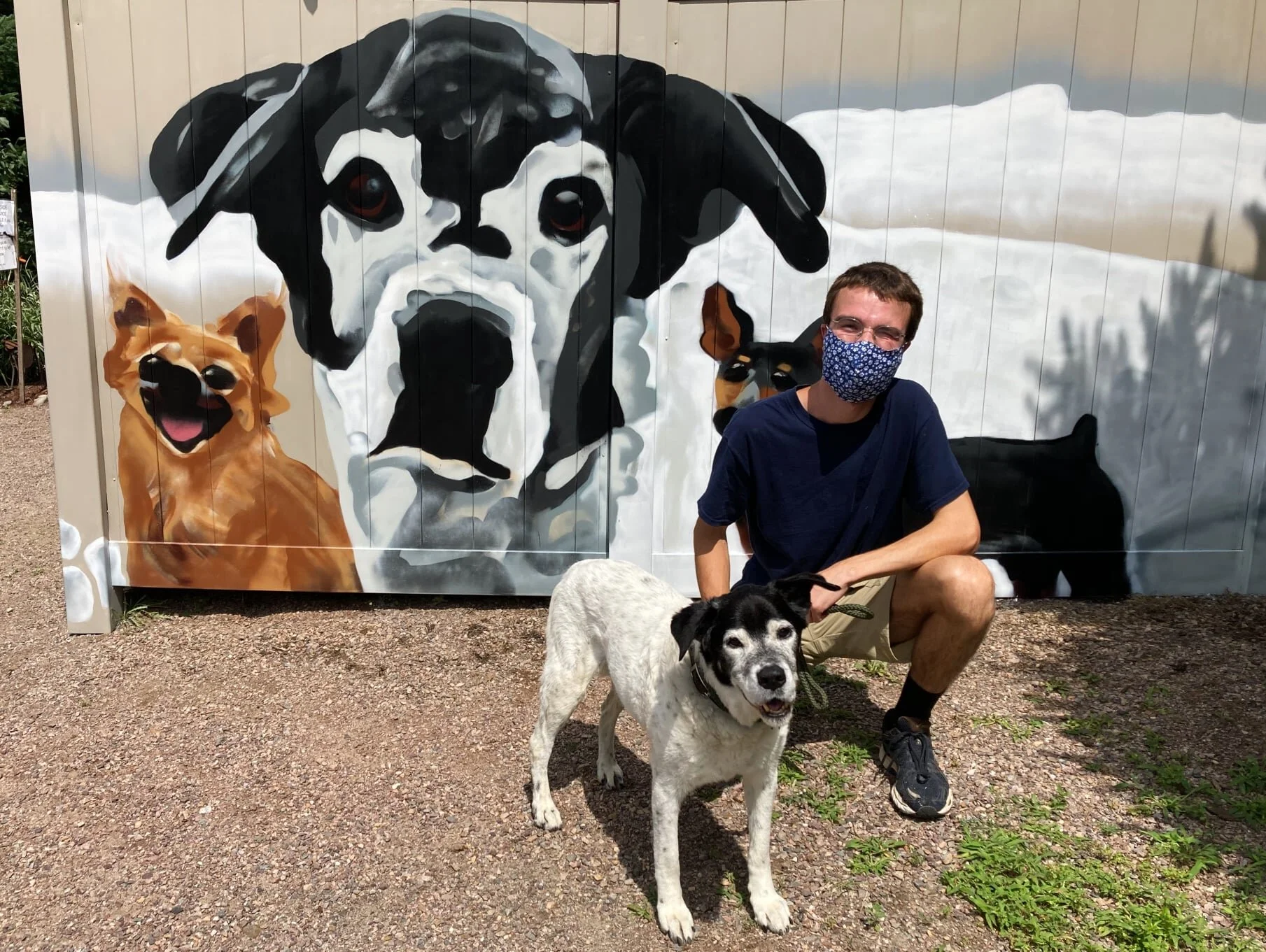 New leash on life: Mural spruces up local dog kennel — Community News ...