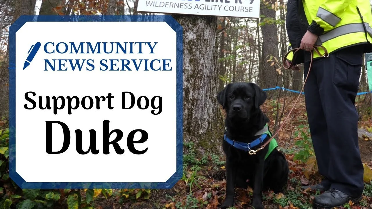 Duke: Support Dog In-Training — Community News Service