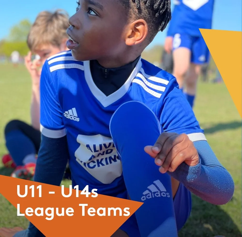 UD Player Pathway | United Dragons