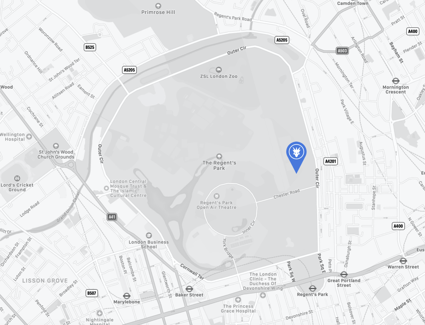 Foundation Competitive Programme | United Dragons