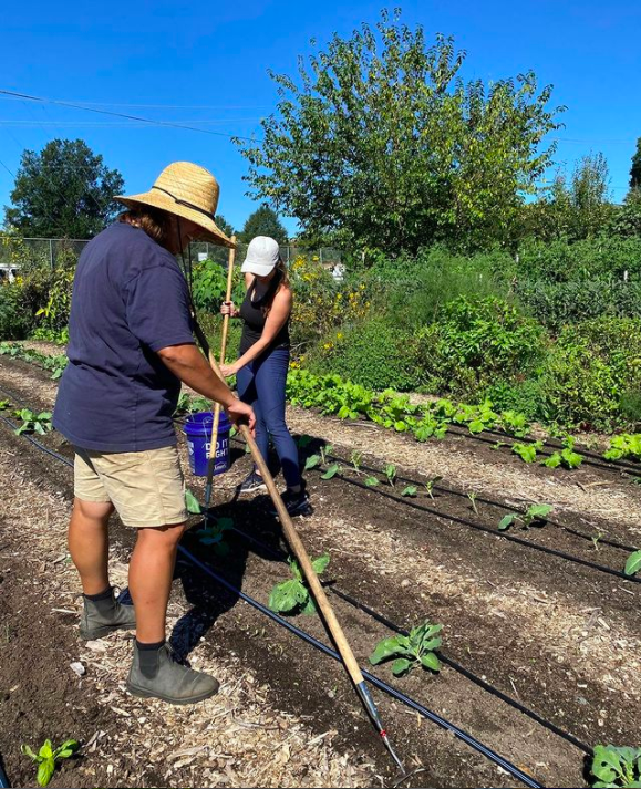Raleigh City Farm | Nonprofit urban farm in downtown Raleigh, NC