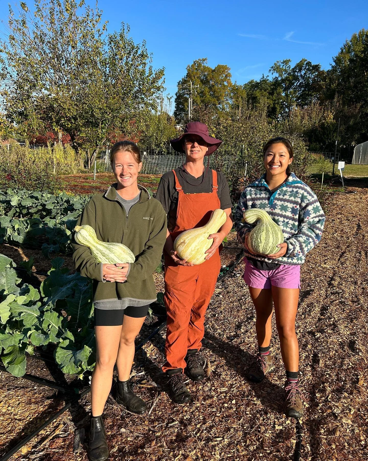 Raleigh City Farm | Nonprofit urban farm in downtown Raleigh, NC