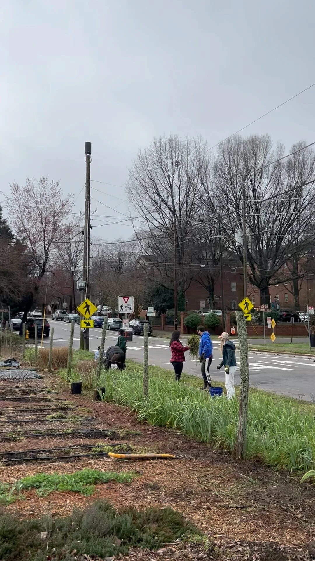 Artspace on the Go at Raleigh City Farm | Raleigh City Farm | Nonprofit ...