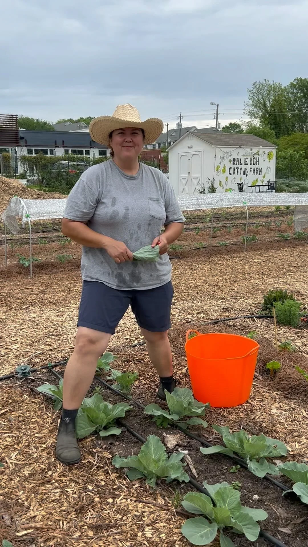Raleigh City Farm | Nonprofit urban farm in downtown Raleigh, NC