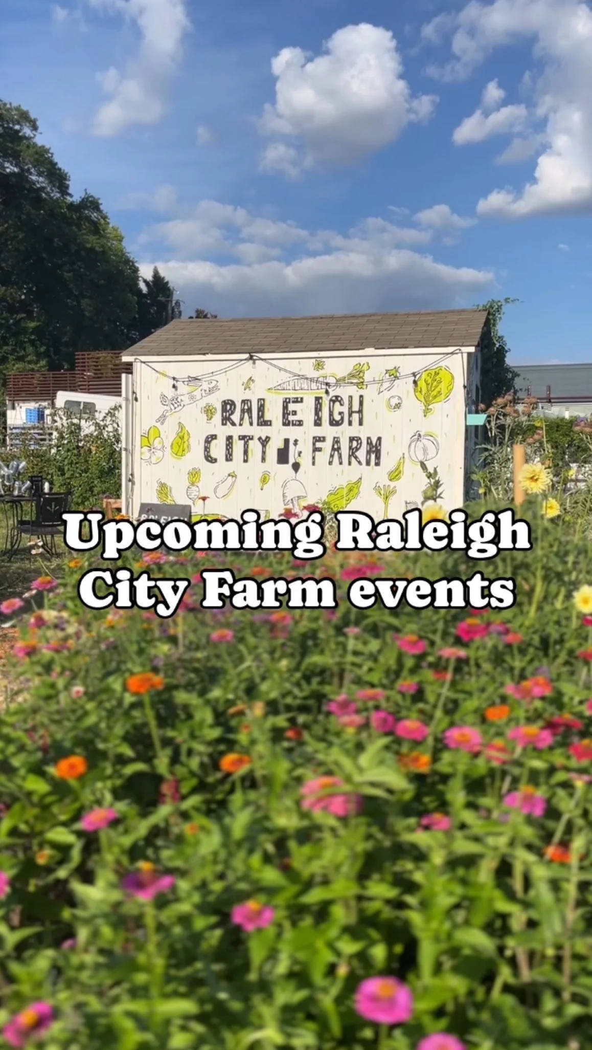 Sir Walter Rabbit Print | Raleigh City Farm | Nonprofit urban farm in ...