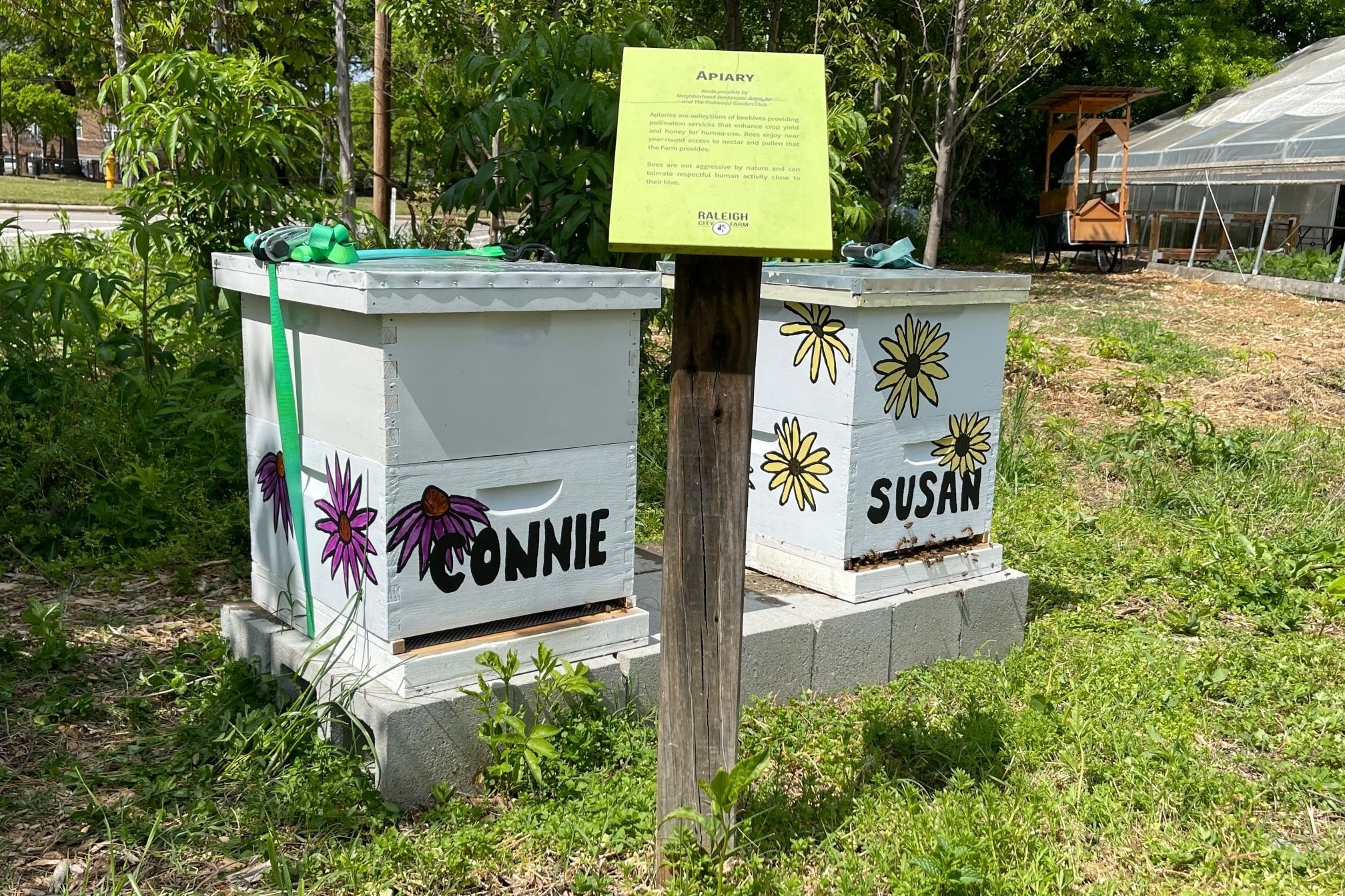 Apiary | Raleigh City Farm