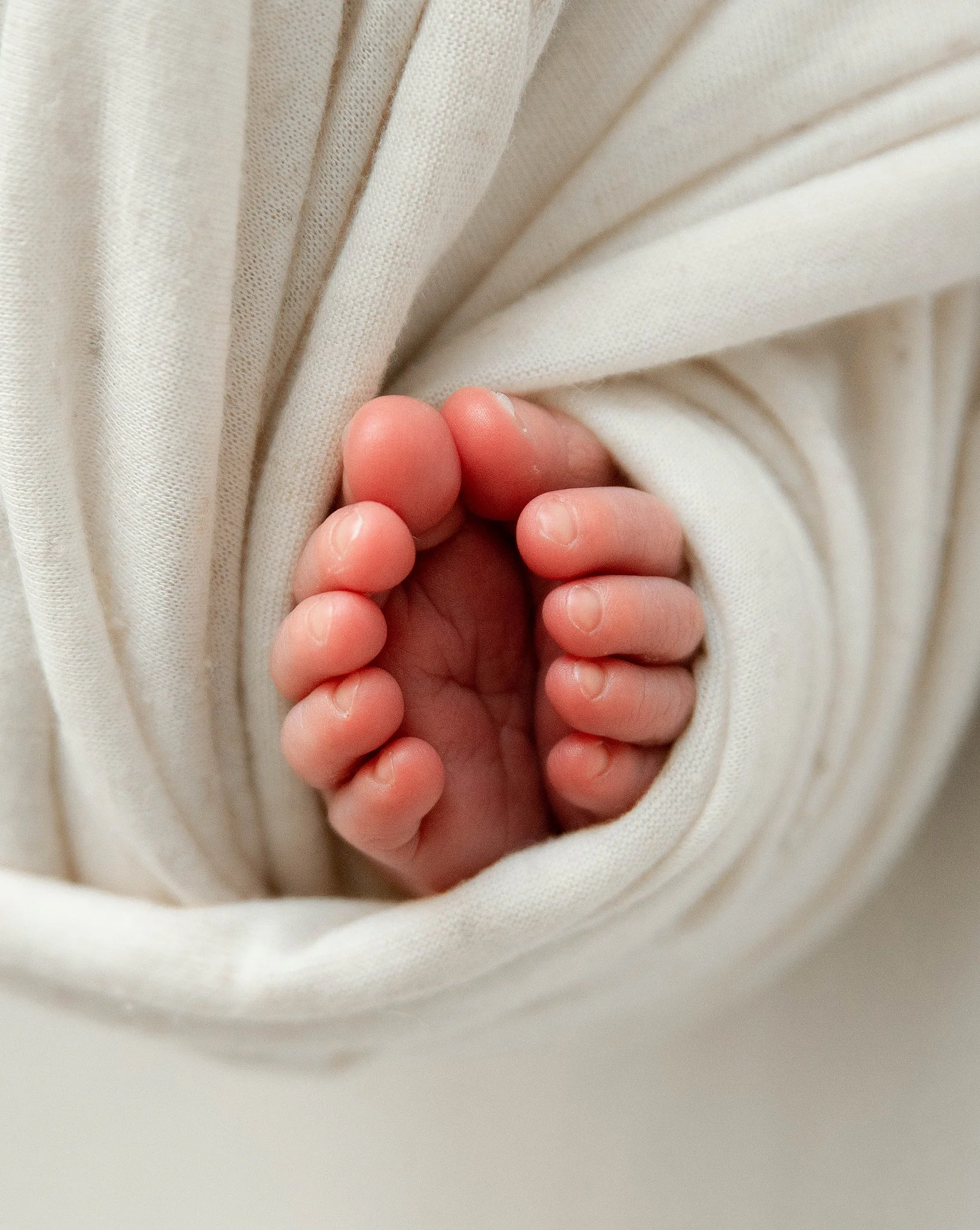 Newborn Photography Detroit MI — Chelsie Maurer Photography