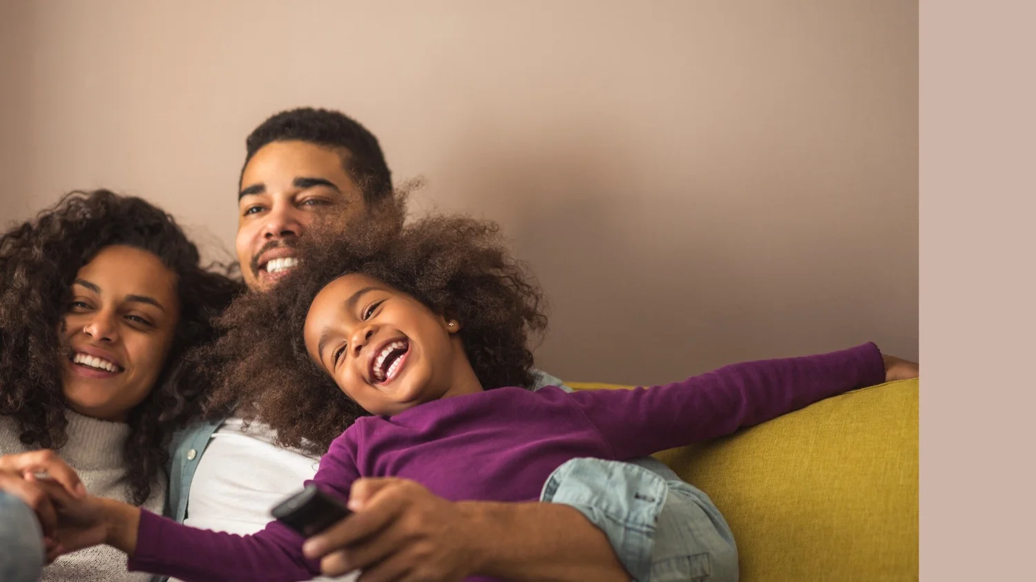 Lesson 1 (3): CCTR.CMIG Family Size — Monarch Link Pathways
