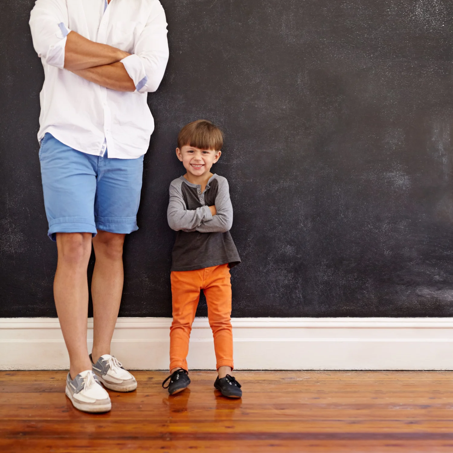 Lesson 3 (2): Family Selection CalWORKs Entry — Monarch Link Pathways