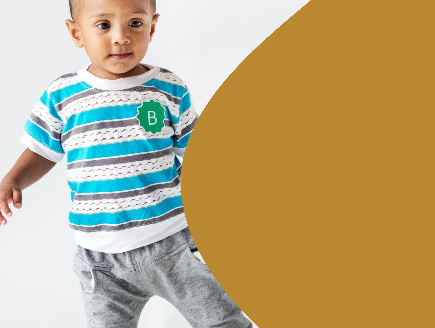 Family Data File Monitoring Tools — Monarch Link Pathways