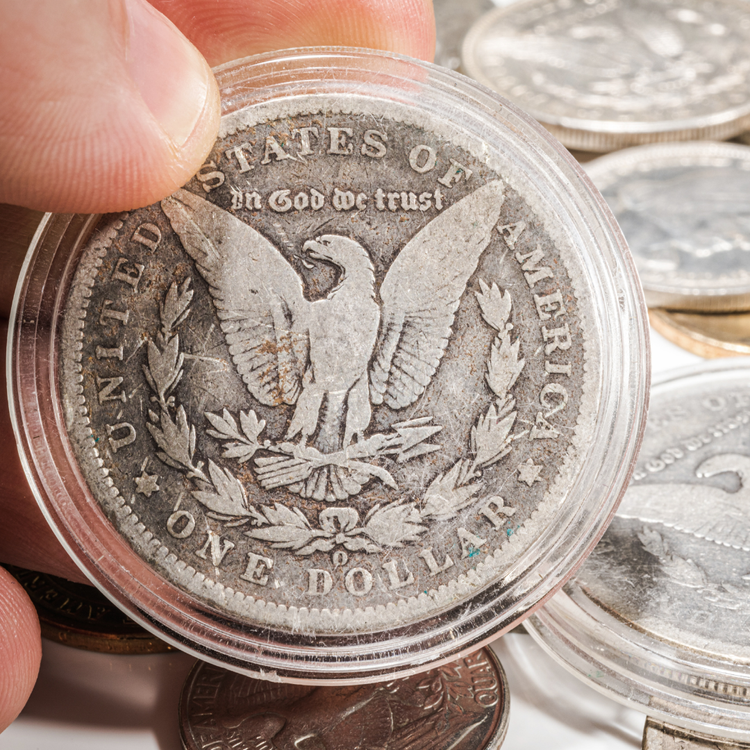 Buy & Sell: Your Local Sports Memorabilia, Coin, and Packer ...
