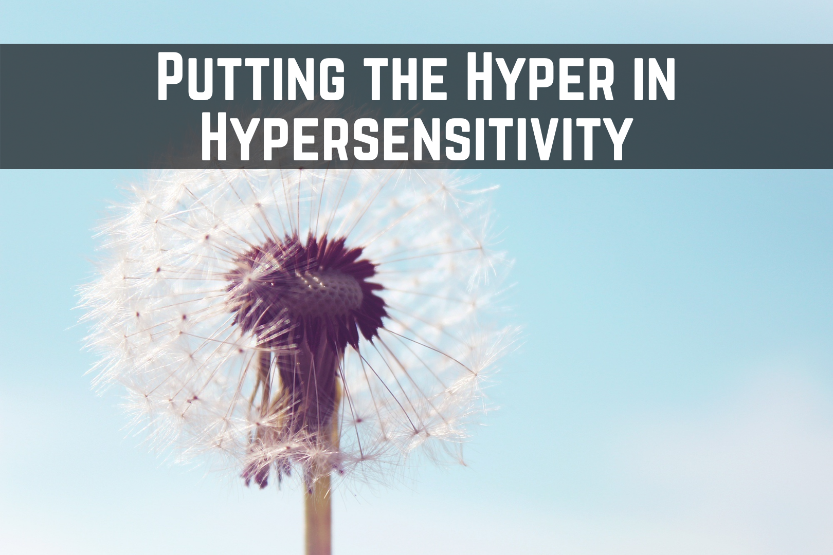 Putting The Hyper In Hypersensitivity Hacking Your ADHD