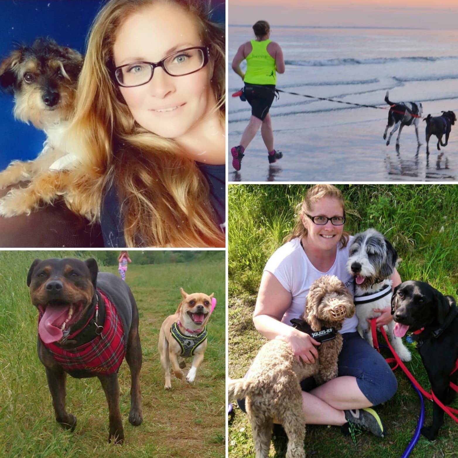 Meet the team — K9-Elite Adventures