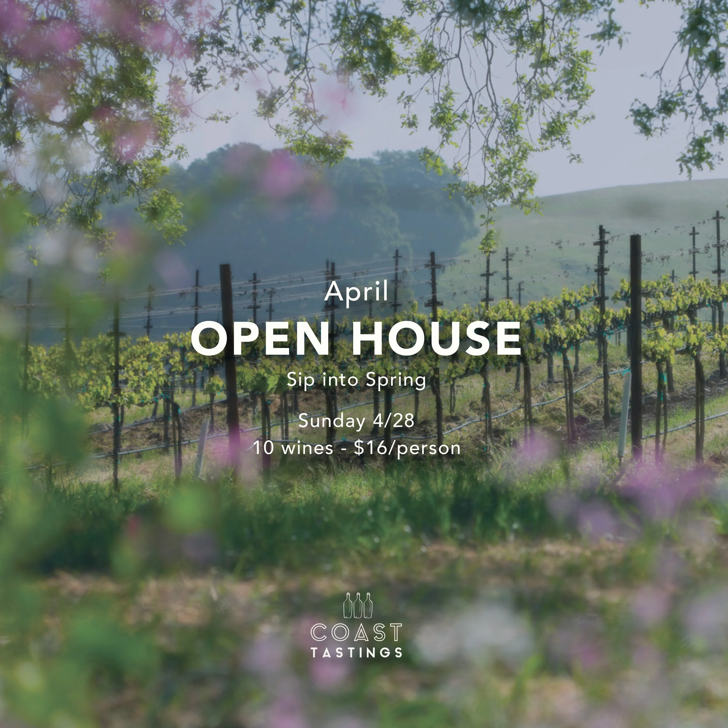 Tastings & Events — Coast Wine House