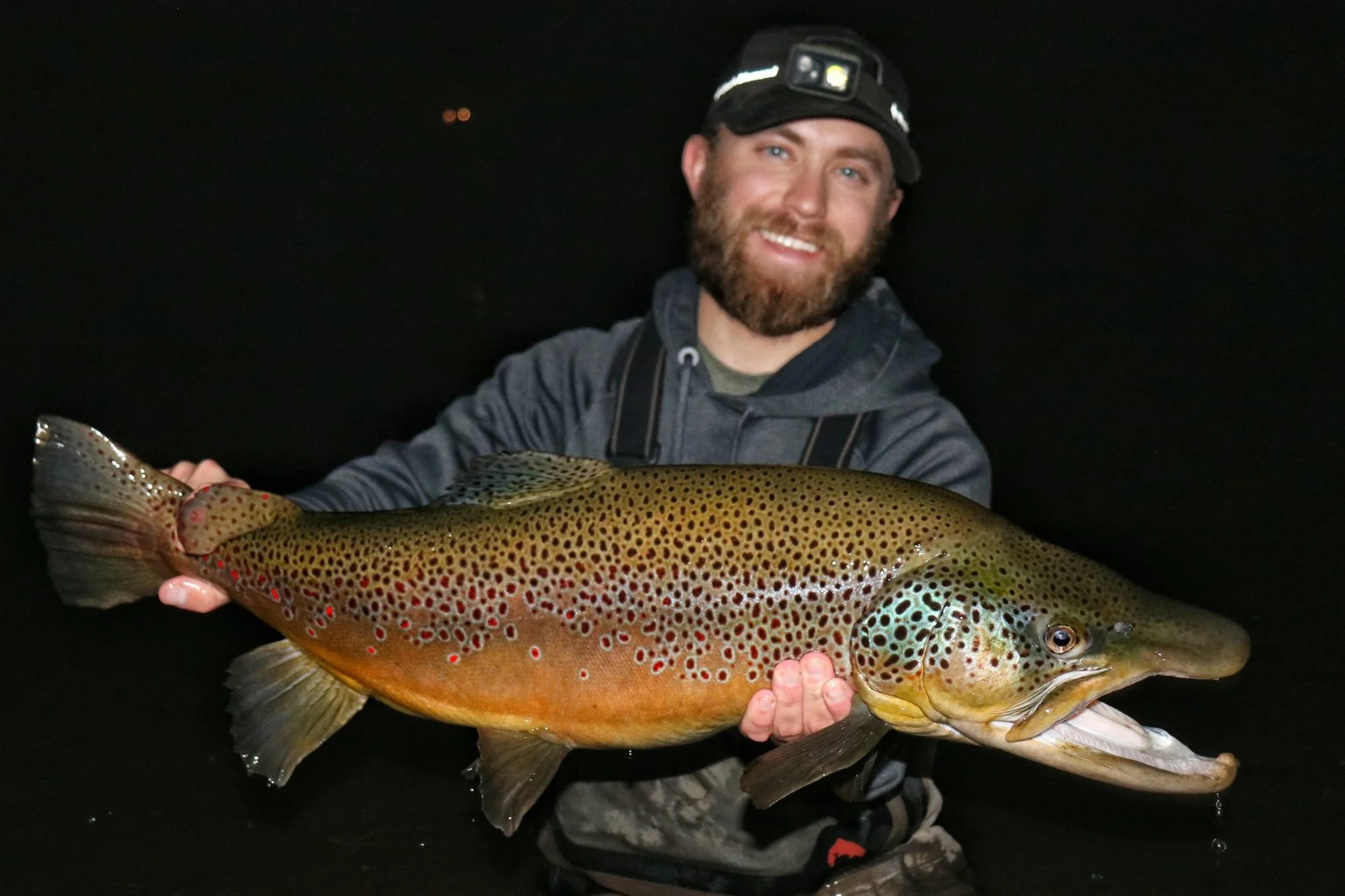 Wild Trout Trophy Fishing