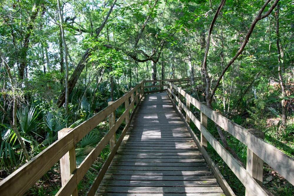 Hike Alongside History at Historic Blakeley State Park — Explore ...
