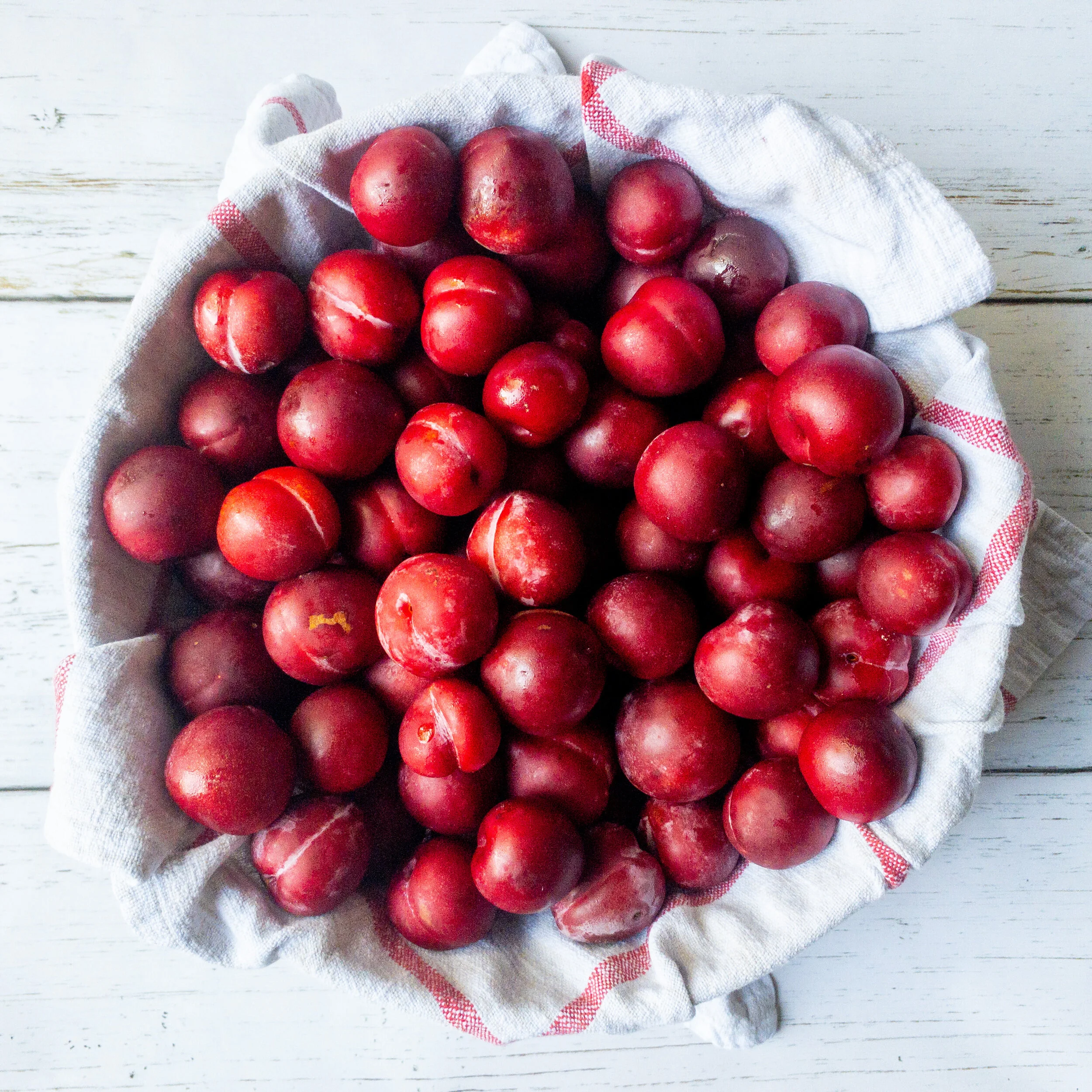 Brandied Plum Cake — Poetry & Pies