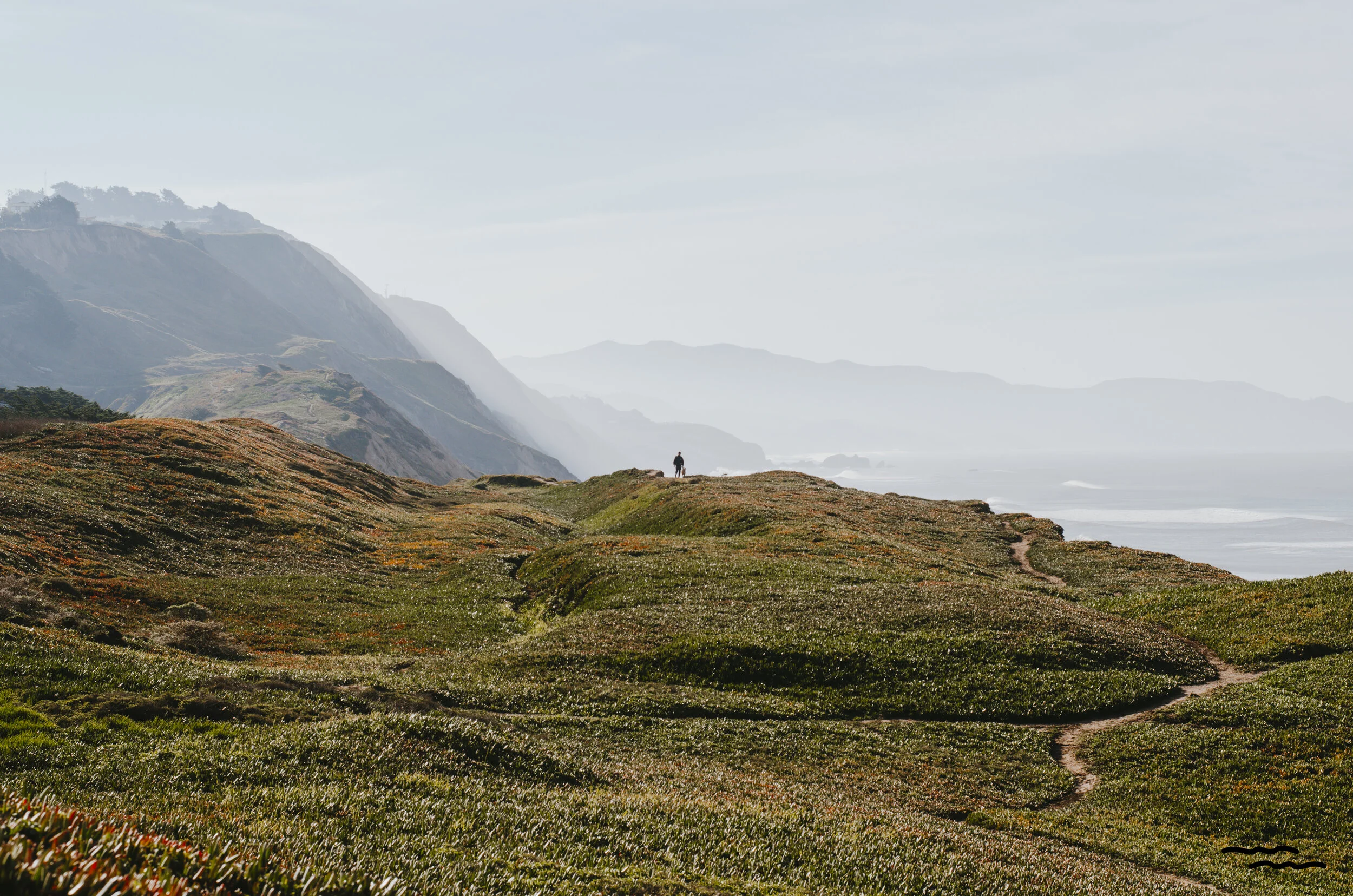 funston beach — hayley alexander