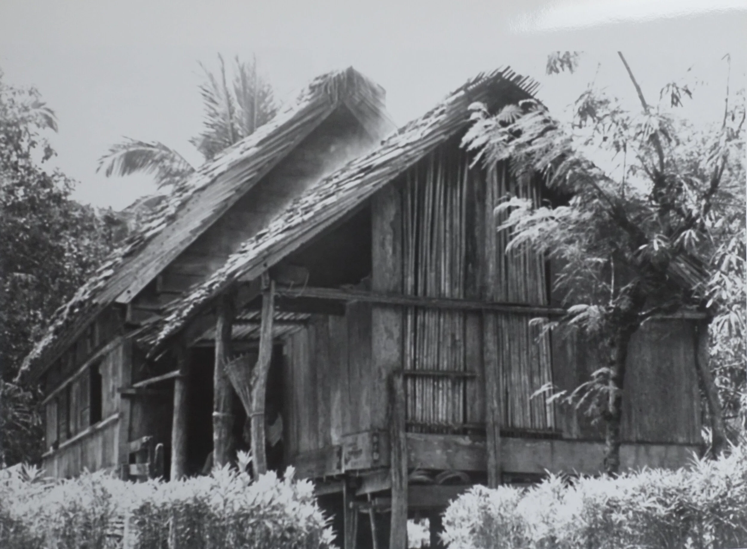 PLATFORM: Loneliness, Disappearance and the Veneer of Protection