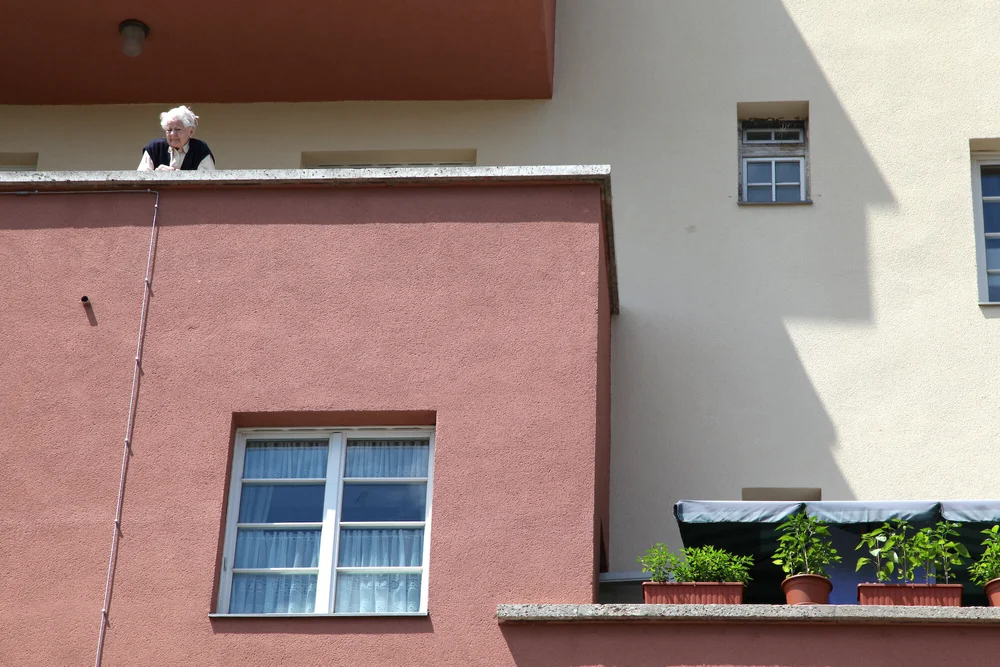 PLATFORM: The House that Anti-Fascism Built: The Hofs of Red Vienna