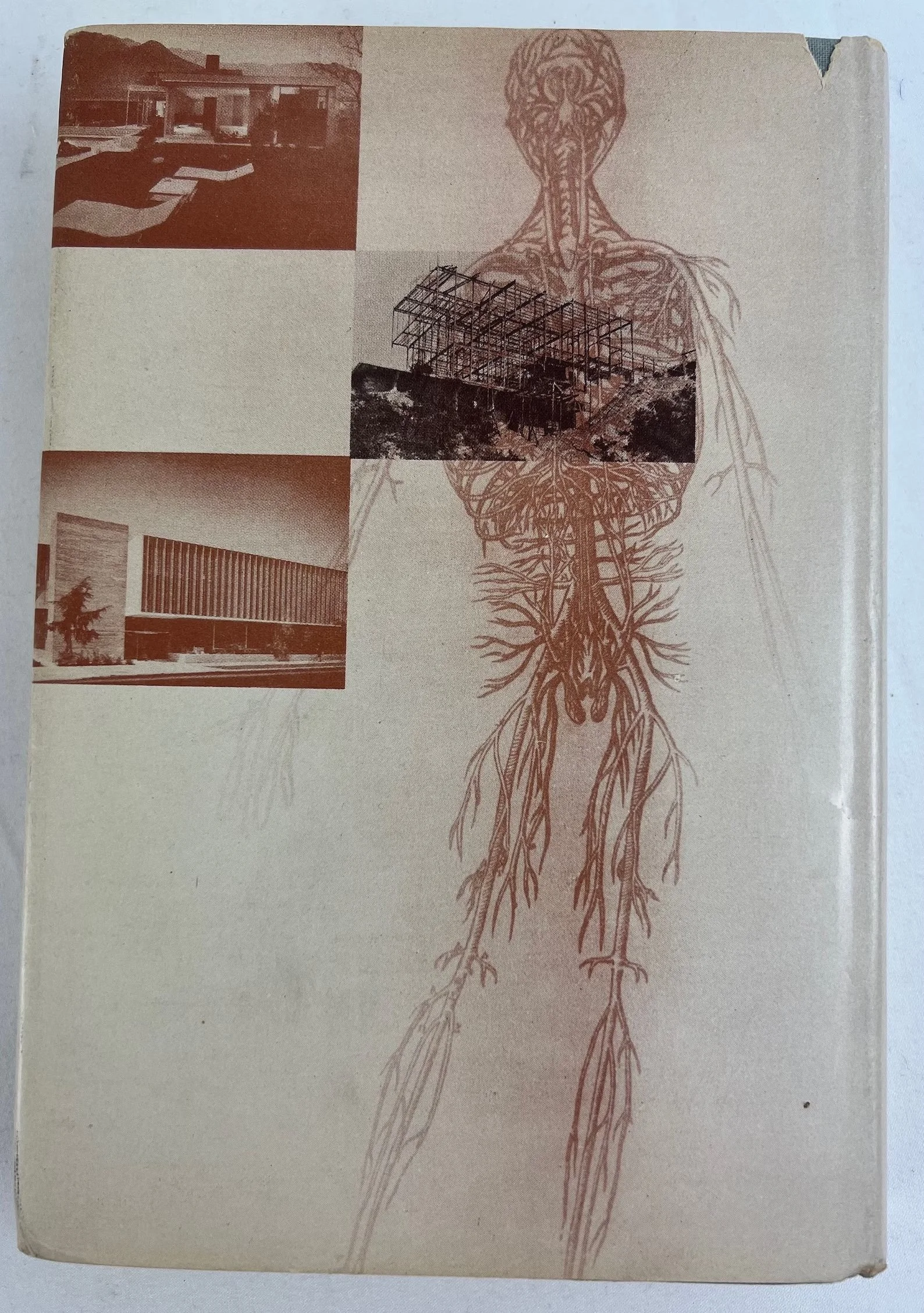 PLATFORM: The Nature of Perception: Richard Neutra and Maria Nordman