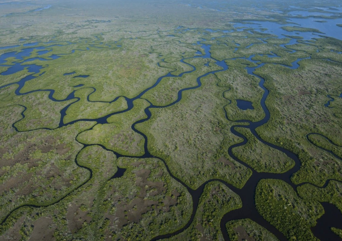Building Near Wetlands in Florida: Engineering Tips — RSP