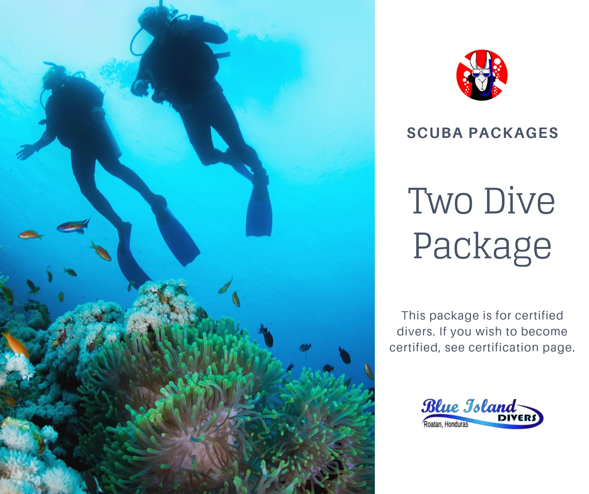 Scuba Diving Roatan — Blue Island Divers