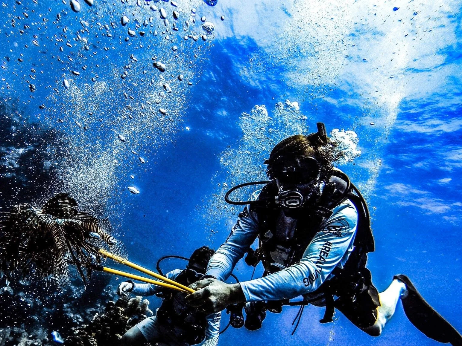 Scuba Diving Roatan — Blue Island Divers